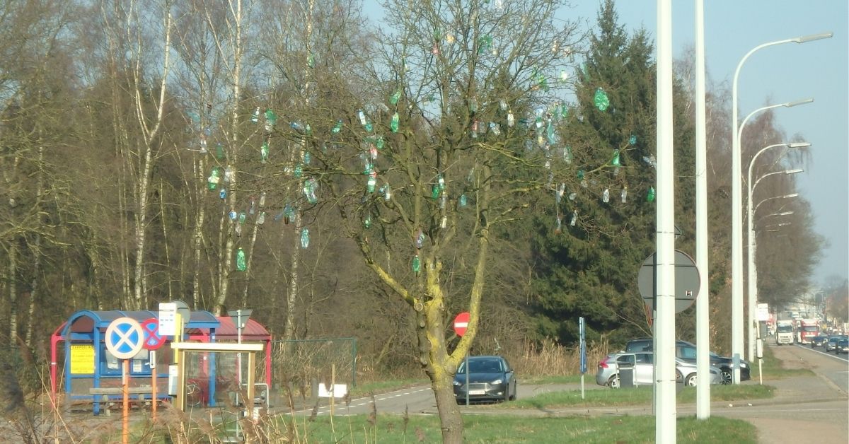 Plastic activist Toon Eerdekens: "Mijn statiegeldboom bereikt 50.000 ...